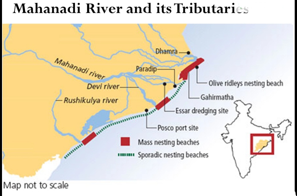 chhattisgarh ki jivan rekha Mahanadi Johar CG India